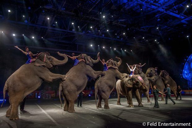 Ringling Bros. and Barnum & Bailey Circus is Coming to Cleveland ...