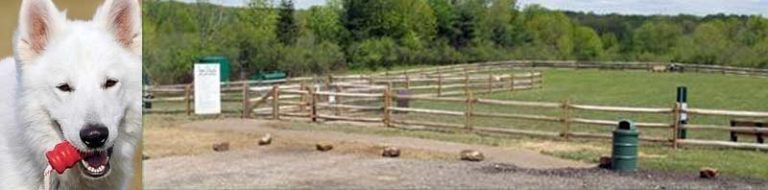 Top 10 Dog Parks Near Akron - Akron Ohio Moms