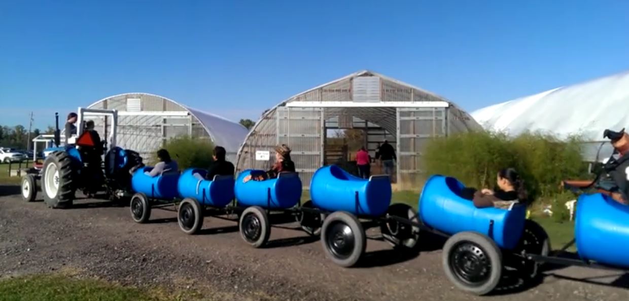 Akron Ohio Area Corn Mazes, Hay Rides, Pumpkin Patches, and Fall Family ...
