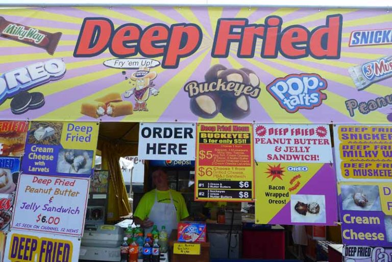 Are You Ready For The Ohio State Fair Akron Ohio Moms