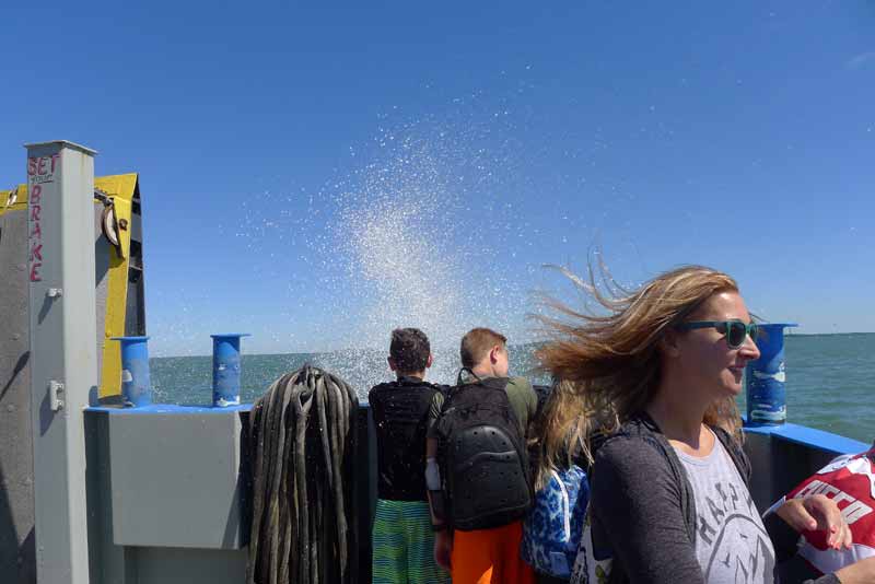 Escape to Island Life in Put-in-Bay on Miller Ferry - Akron Ohio Moms