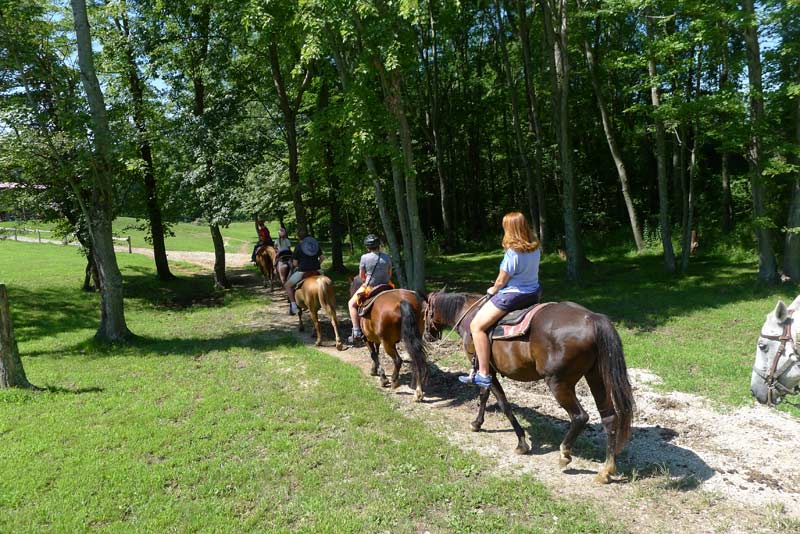 Horseback Riding in Santa Claus, IN at Santa's Stables - Akron Ohio Moms