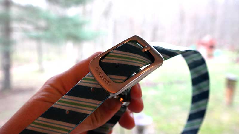 Your Adventurous Dog Needs this Waterproof Collar - Akron Ohio Moms