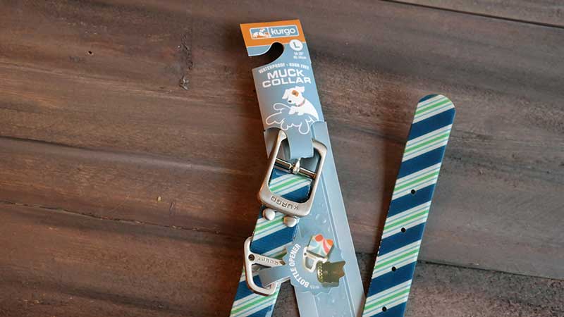 Your Adventurous Dog Needs this Waterproof Collar - Akron Ohio Moms