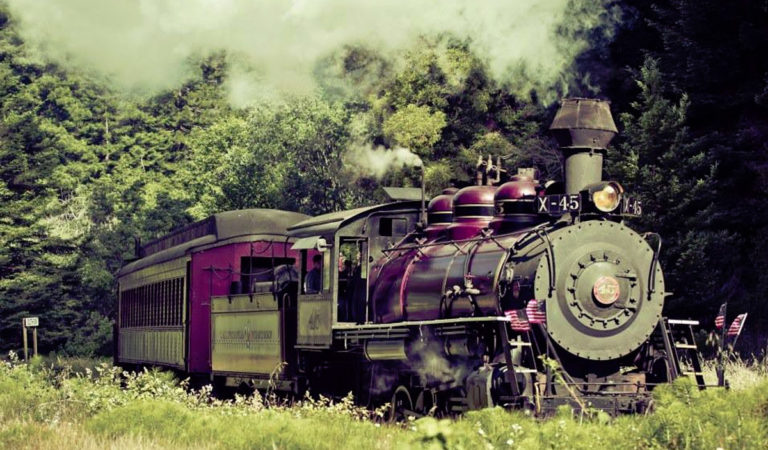 Experience Majestic California Redwoods on the Historic Skunk Train ...