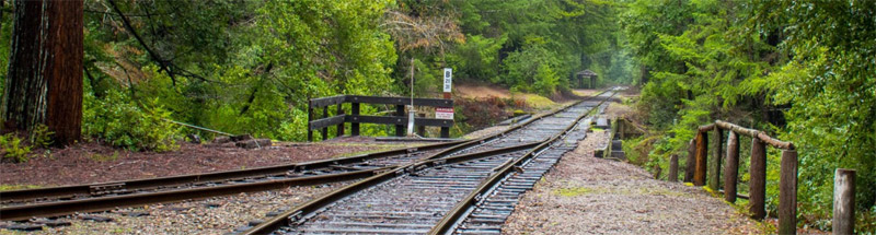 Experience Majestic California Redwoods on the Historic Skunk Train ...