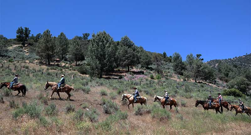 Family Horseback Riding at Rankin Ranch - Akron Ohio Moms