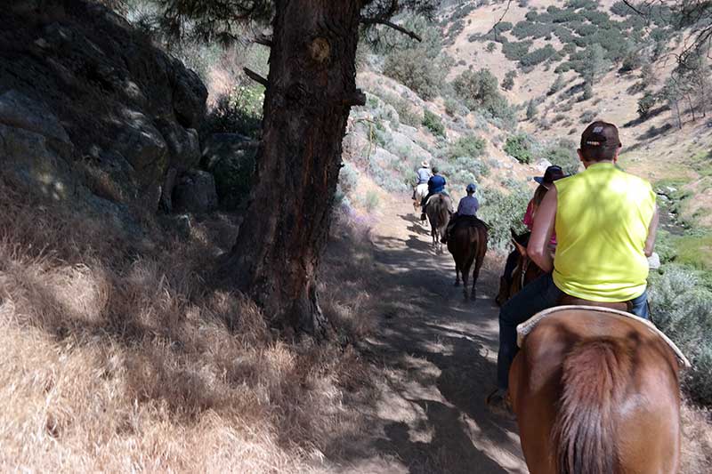 Family Horseback Riding at Rankin Ranch - Akron Ohio Moms