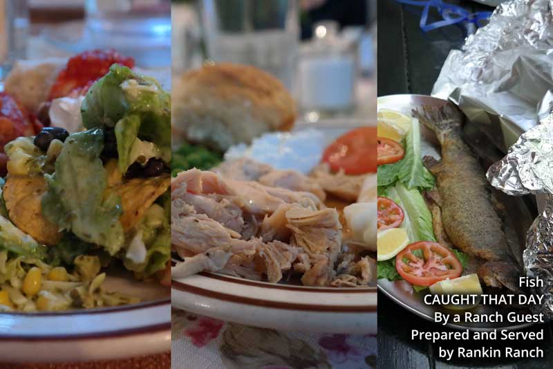 Great Family Dude Ranch in California - Guest Ranching at Rankin Ranch ...