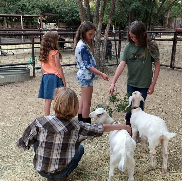 Great Family Dude Ranch in California - Guest Ranching at Rankin Ranch ...