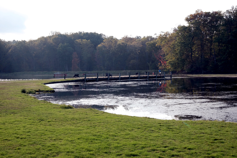 Ohio's Fall Foliage Peak is Here - Get Out and Hike! #LoveLittleBites ...