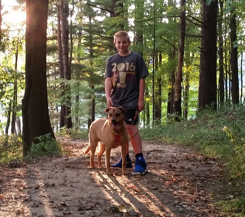 Ohio's Fall Foliage Peak is Here - Get Out and Hike! #LoveLittleBites ...