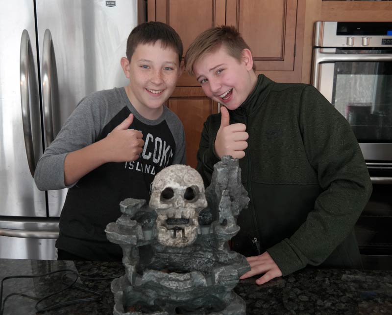 Building a BioActive Terrarium with Zoo Med Repti Rapids LED Waterfall ...