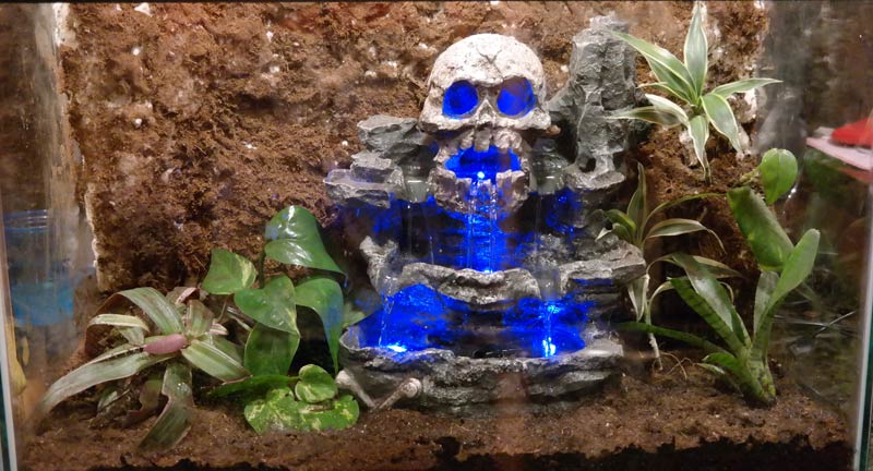 Building a BioActive Terrarium with Zoo Med Repti Rapids LED Waterfall ...