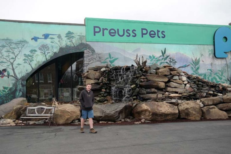 Lansing, Michigan Road Trip Itinerary for Families - Akron Ohio Moms