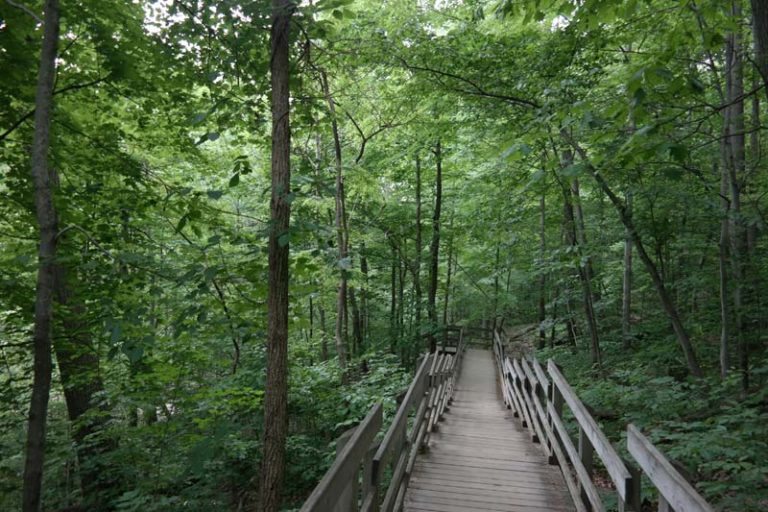 Visit the Gorge Metro Park for Waterfalls and a Cave in Cuyahoga Falls ...
