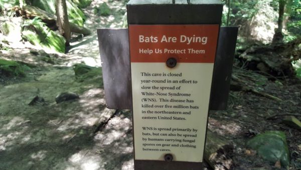 The Ledges at Cuyahoga Valley National Park - Akron Ohio Moms