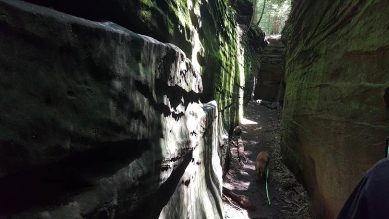 The Ledges at Cuyahoga Valley National Park - Akron Ohio Moms