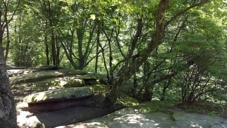 The Ledges at Cuyahoga Valley National Park - Akron Ohio Moms