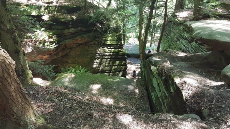 The Ledges at Cuyahoga Valley National Park - Akron Ohio Moms