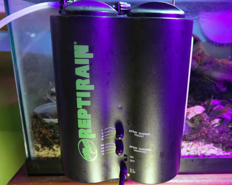 Achieve Perfect Humidity with Zoo Med Repti Rain - Akron Ohio Moms