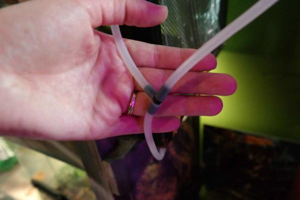 Achieve Perfect Humidity with Zoo Med Repti Rain - Akron Ohio Moms