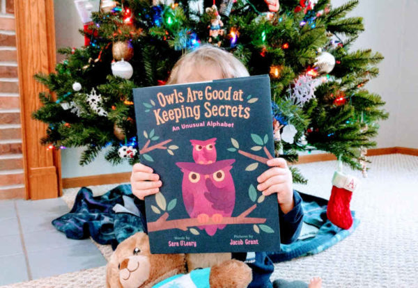 An Unusual (& Fun) Alphabet Book: Owls Are Good At Keeping Secrets ...