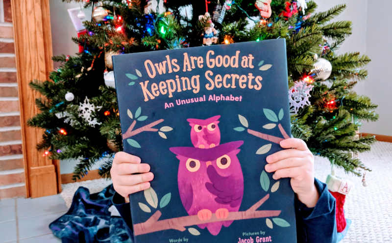 An Unusual (& Fun) Alphabet Book: Owls Are Good At Keeping Secrets ...
