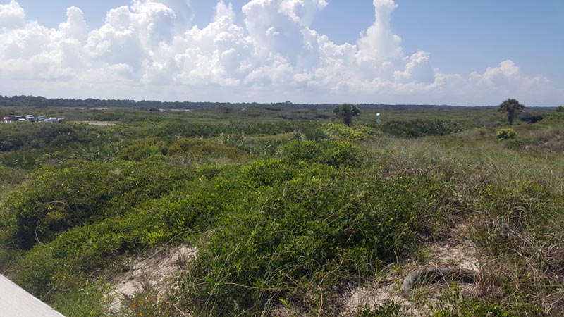 Fun & Learning Go Hand-in-Hand at GTM Reserve and St. Augustine Beaches ...