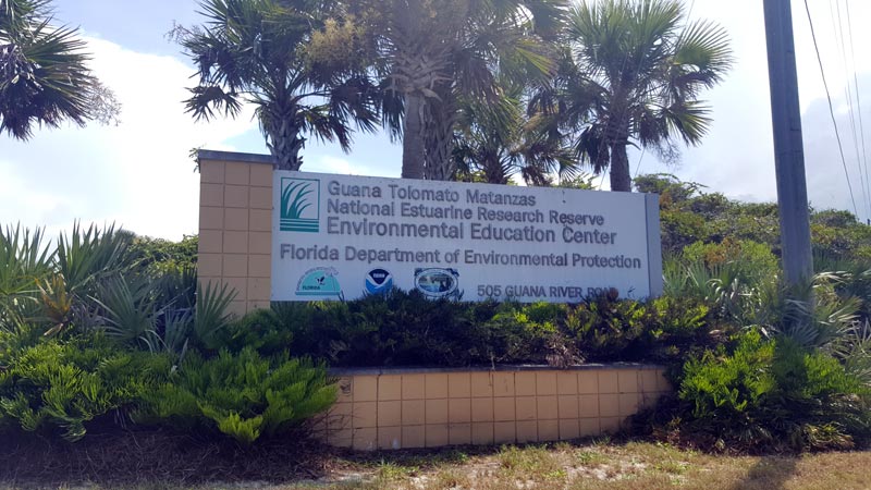 Fun & Learning Go Hand-in-Hand at GTM Reserve and St. Augustine Beaches ...