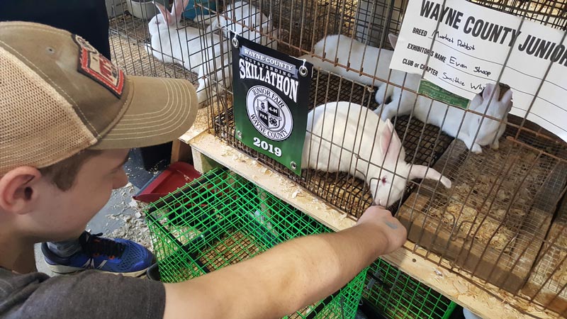 Take a Drive to Wooster for Family Fun at the Wayne County Fair - Akron ...