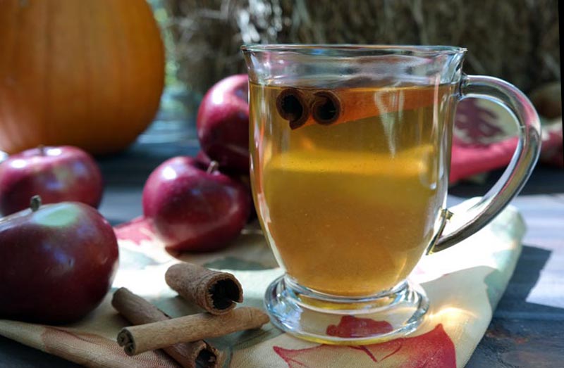 Easy Low Carb Apple Cider Recipe Akron Ohio Moms Easy Low Carb Apple Cider Recipe Akron Ohio Moms
