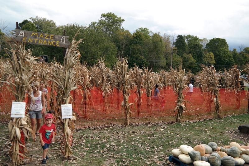 2020 Akron Corn Mazes, Hay Rides, Pumpkin Patches and Fall Family Fun ...