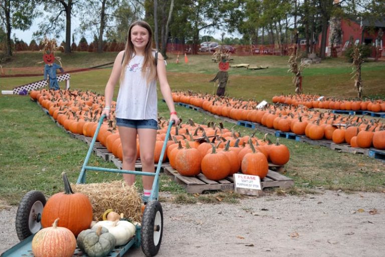 Akron Ohio Area Corn Mazes, Hay Rides, Pumpkin Patches, and Fall Family ...