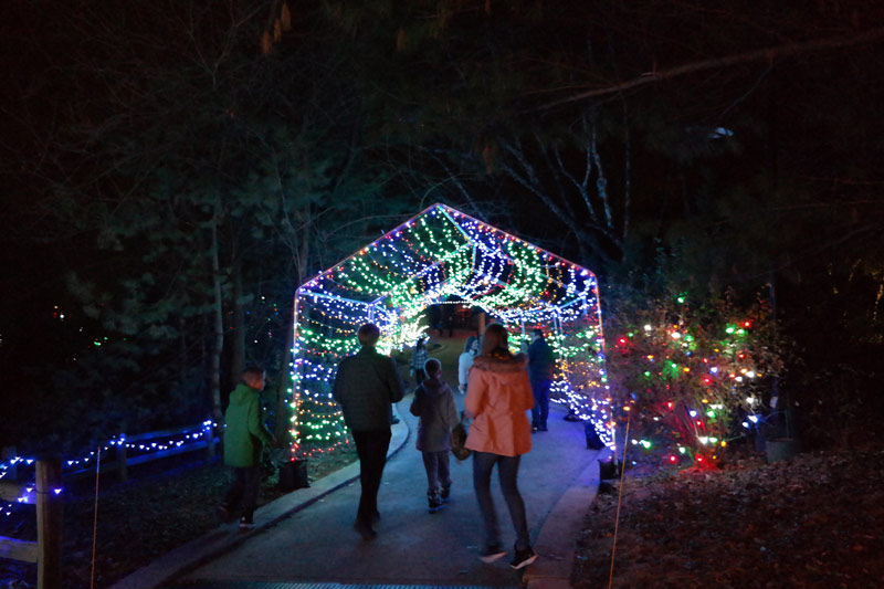 Make Wild Lights at the Akron Zoo a Christmas Tradition - Akron Ohio Moms