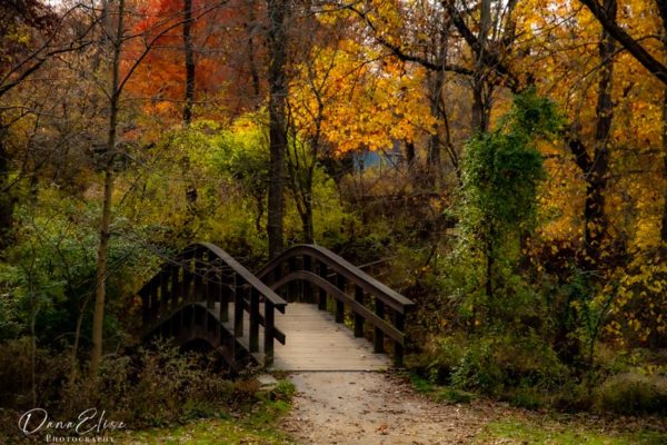 Meet the Best Akron, Ohio Photographer & Mother of Three, Dana Elise ...