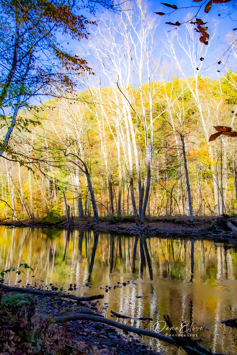 Meet the Best Akron, Ohio Photographer & Mother of Three, Dana Elise ...