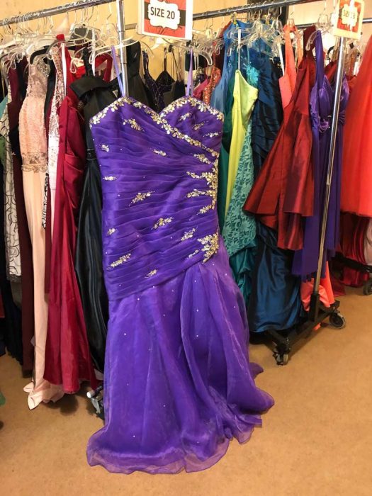 FREE Prom Dresses Available to Area High School Girls at Princess Night ...