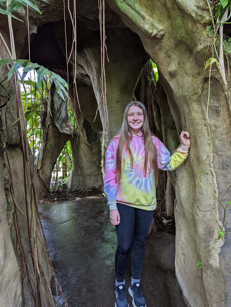 Escape to the Rainforest with Butterflies in Ohio - Akron Ohio Moms