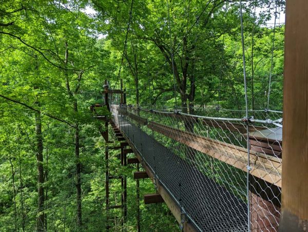 Gardens, Trails, Woodlands, Canopy Walk, Tower & Fun at Holden ...