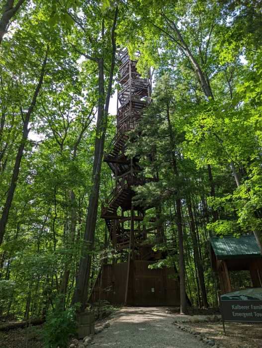 Gardens, Trails, Woodlands, Canopy Walk, Tower & Fun at Holden ...