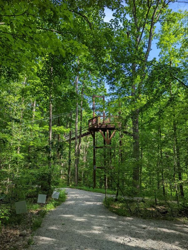 Gardens, Trails, Woodlands, Canopy Walk, Tower & Fun at Holden ...