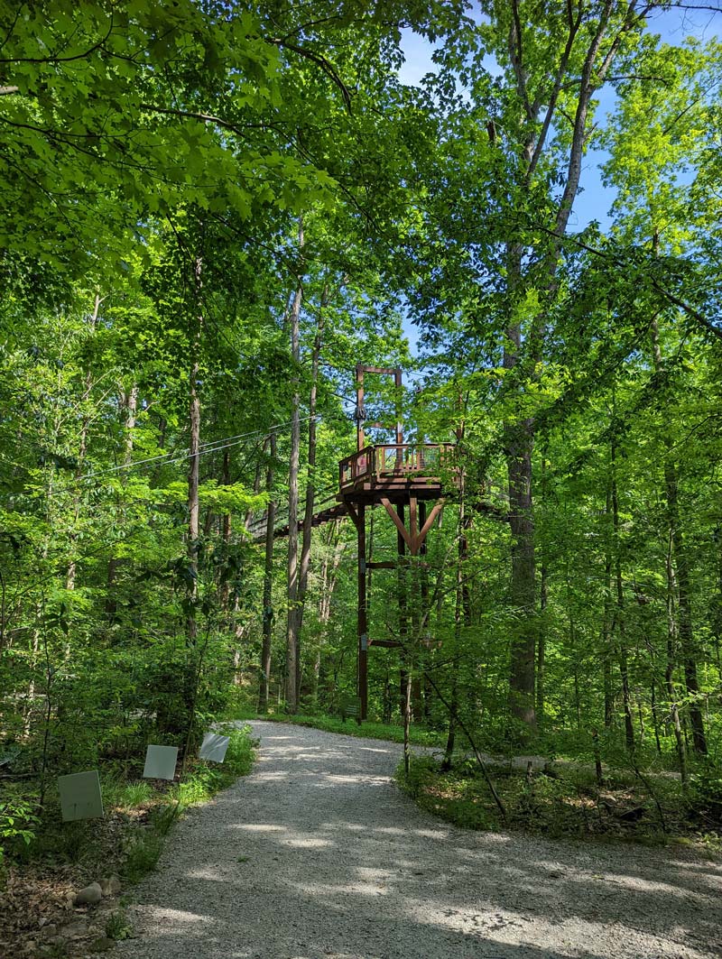 Gardens, Trails, Woodlands, Canopy Walk, Tower & Fun at Holden ...