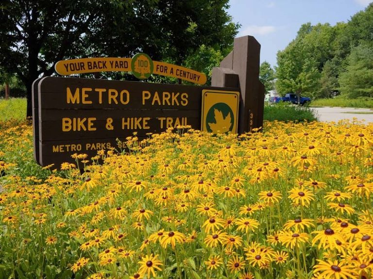 Does Your Backyard Help Ohio Pollinators? - Akron Ohio Moms