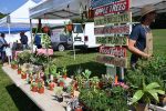 Support Local + Family Time at Countryside Farmer's Market - Akron Ohio ...