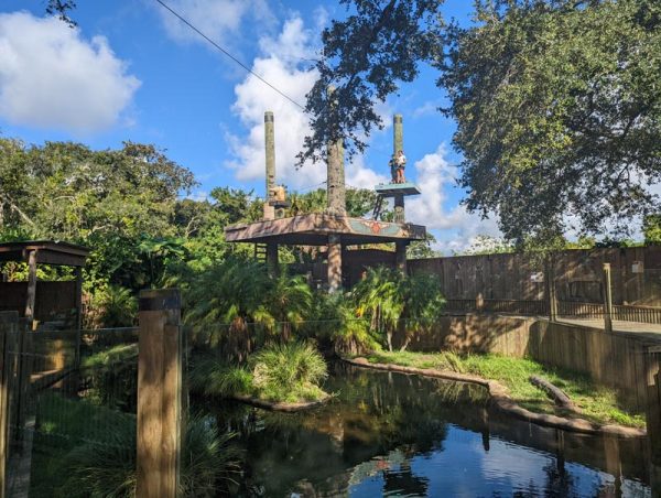 Feed the Alligators at St. Augustine Alligator Farm Zoological Park ...