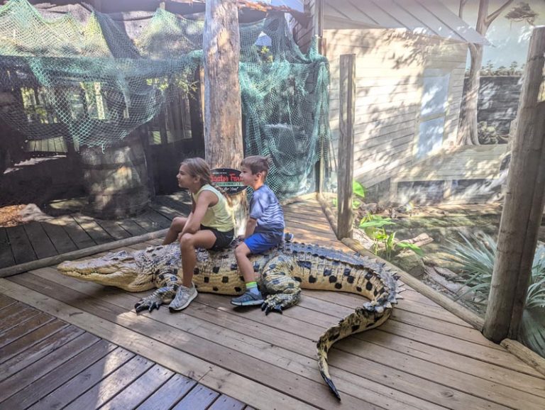 Feed the Alligators at St. Augustine Alligator Farm Zoological Park ...