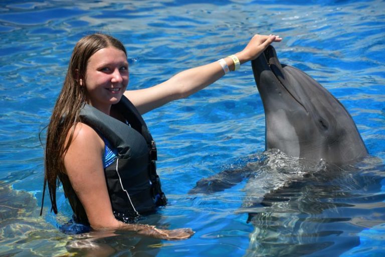 Swim with Dolphins in Florida at Marineland Dolphin Adventure - Akron ...
