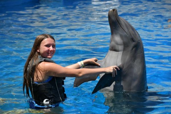 Swim with Dolphins in Florida at Marineland Dolphin Adventure - Akron ...