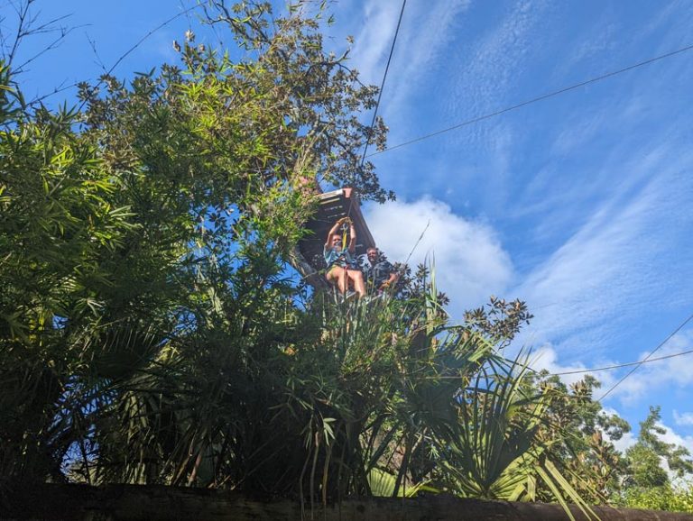 Would You Dare Zipline Over Alligators at Crocodile Crossing?! - Akron ...